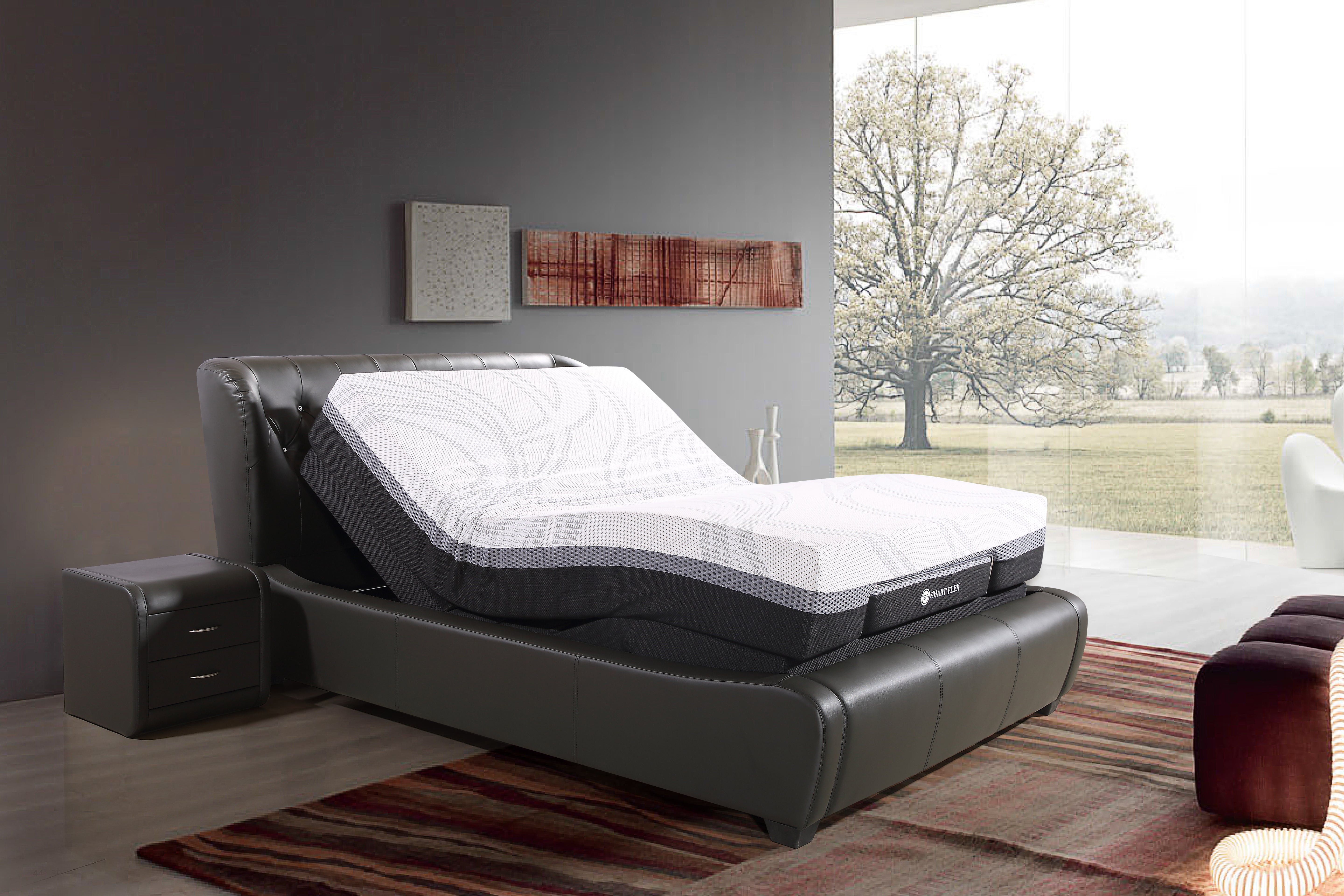 SmartFlexBed